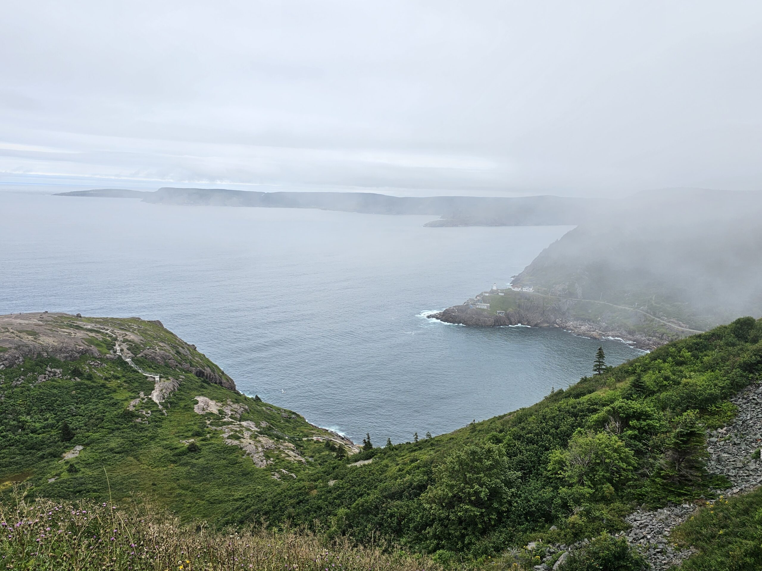 Cruise ship in St. John's today - NTV: Newfoundland and Labrador's Most ...