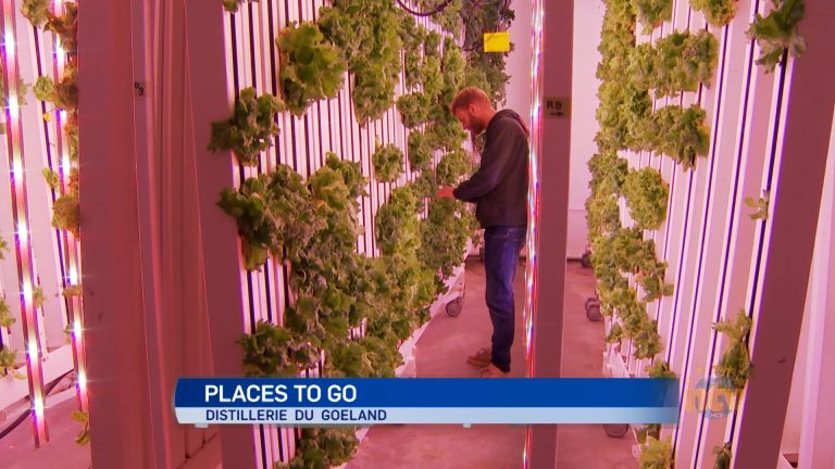Places To Go – NTV