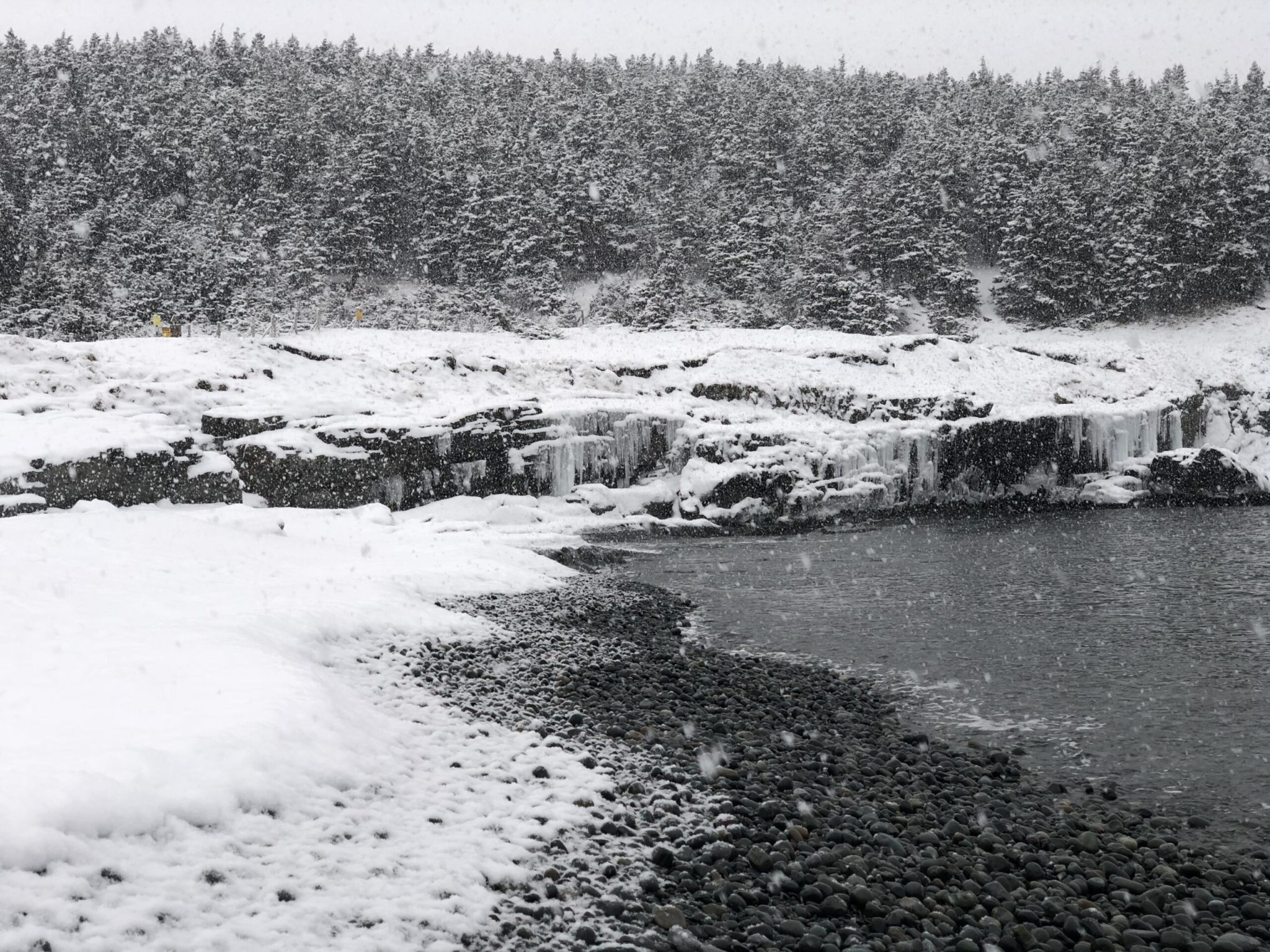 Snow for southern and eastern Newfoundland today into early Tuesday ...