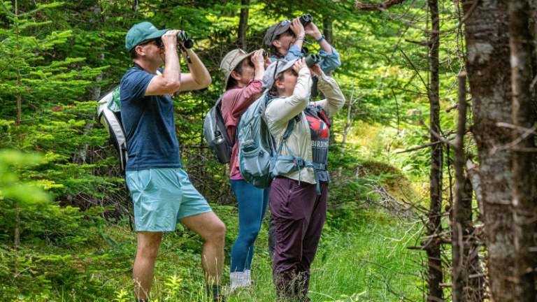 Cross-country event to make a difference for nature; The Big Backyard ...