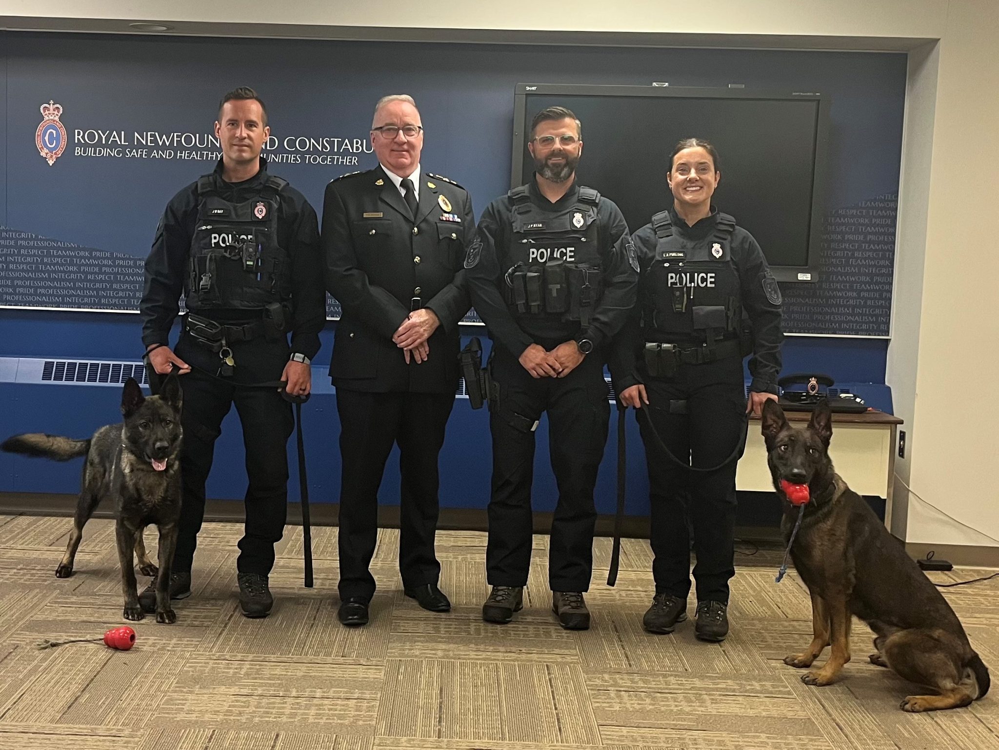 RNC introducing new police dogs - NTV