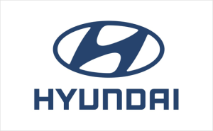 Hyundai recalls more than 80,000 vehicles in Canada - NTV: Newfoundland ...