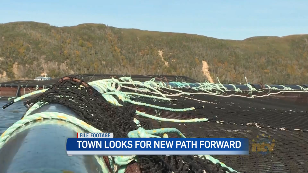 Burgeo residents look for path forward after MOU terminated for NMCA on ...