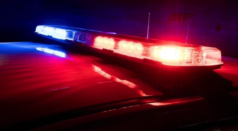 Burin Peninsula RCMP arrest man for theft, breaching court orders - NTV ...
