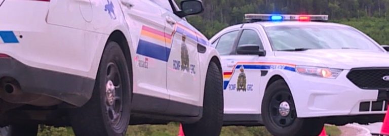 UPDATE: One person in custody after police operation near Salmonier ...
