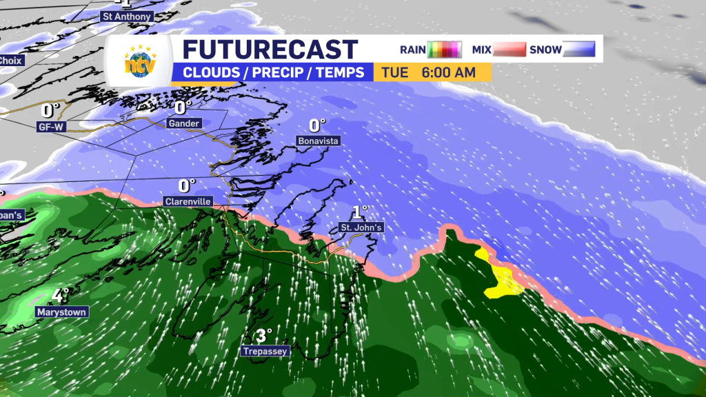 NTV morning weather checkpoint - NTV: Newfoundland and Labrador's Most ...