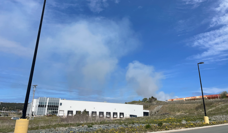 UPDATE: Robin Hood Bay fire under control after Environment Canada ...