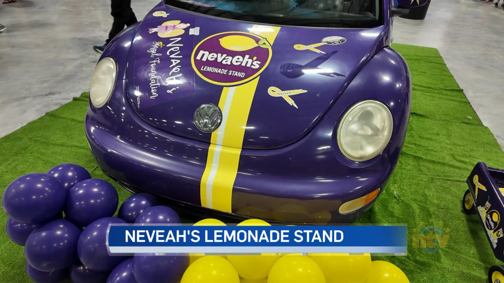 Nevaeh's Lemonade Stand held this weekend - NTV: Newfoundland and ...
