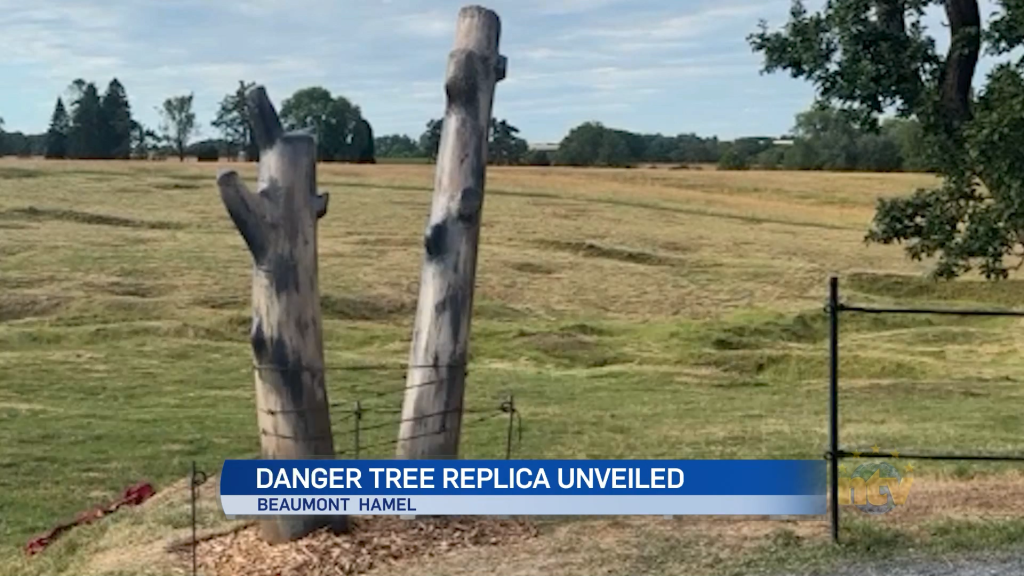 Replica of the Danger Tree unveiled in France ahead of Beaumont-Hamel ...